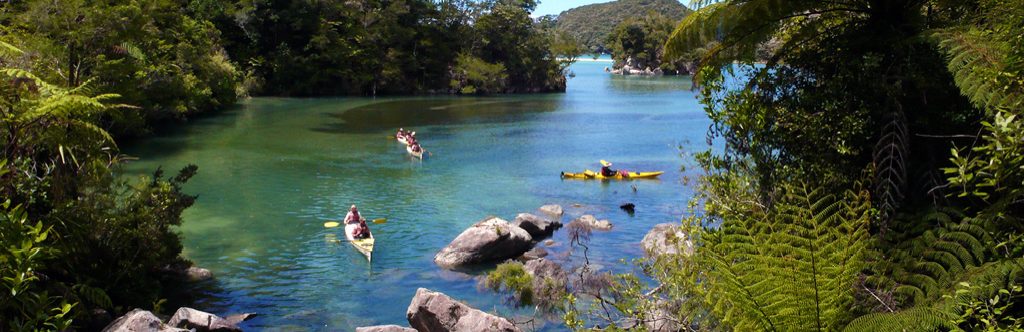 The Ultimate Abel Tasman National Park Experience